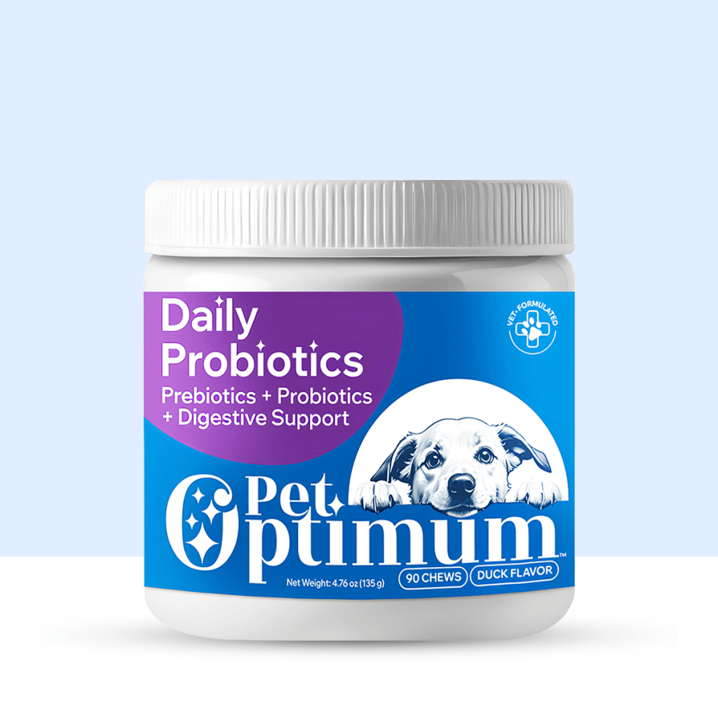 Dog Probiotics for Yeast Infections: Natural Relief for Itchy Ears ...