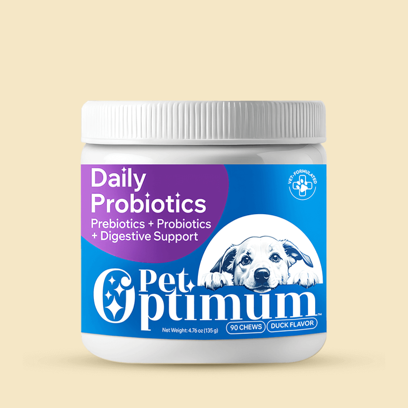 Should I Give My Dog Probiotics Every Day? - Pet Optimum